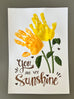 You Are My Sunshine Handprint Craft Art / Sun Flower 2 Hands / Baby To ...